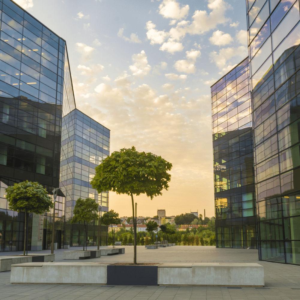 Beginner's Guide to Video Entry Systems