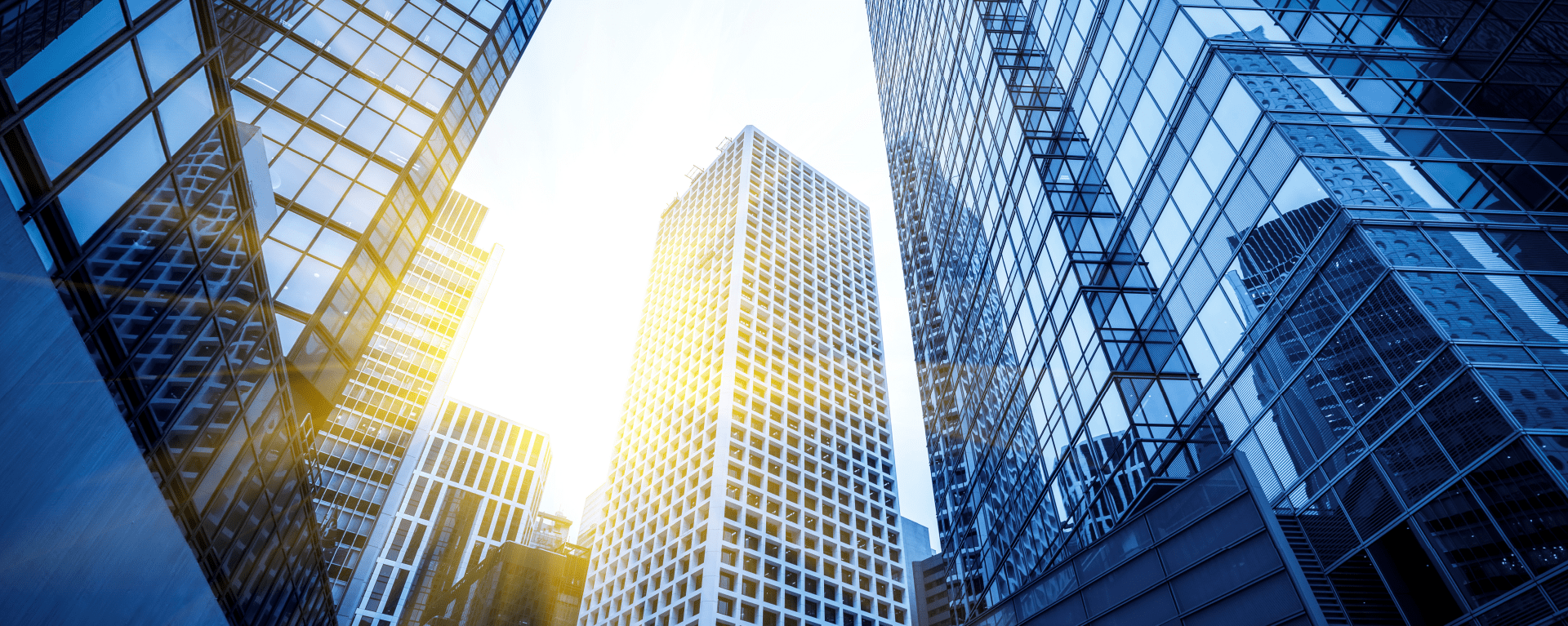 CENTAUR Enterprise Access Control | Robust Enterprise Solutions