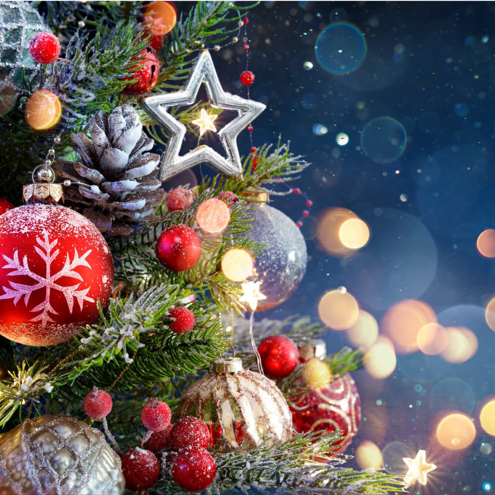 NEWS: Christmas Break - CDVI UK